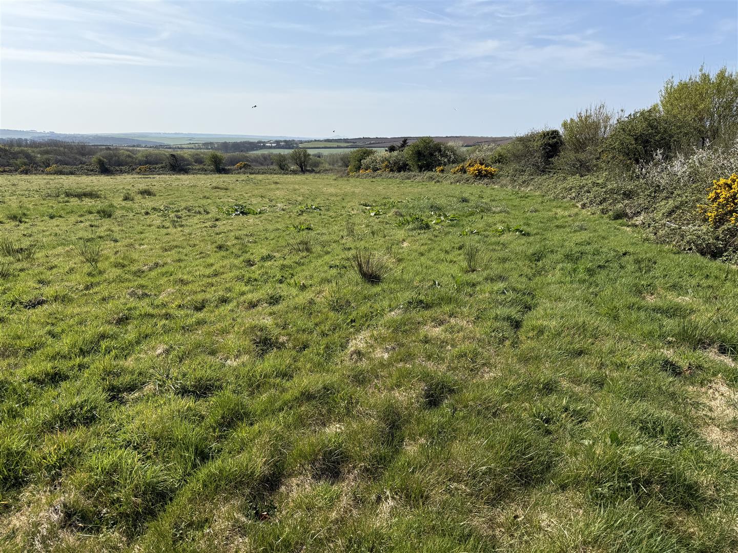 2.90 Acres Pasture Land, St Nicholas, Goodwick – JJMorris